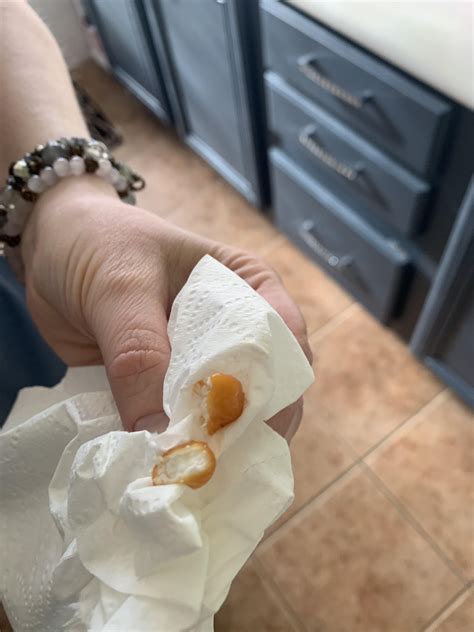 Found This Pristiq Pill Seemingly Undigested In Watery Diahreeah