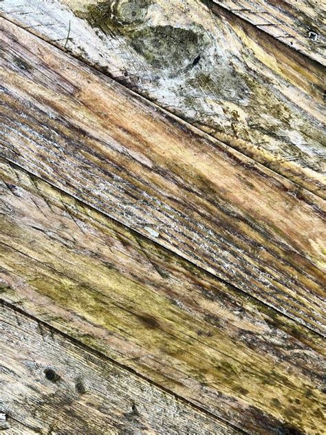 Wood Grain Stock Image Image Of Woods Timber Texture 309653377