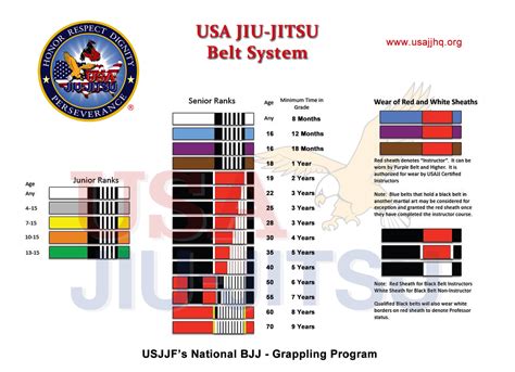 Usa Jiu Jitsu ® Usajj ® Official Site