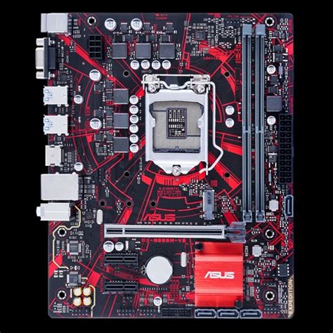 Intel B365
