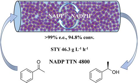 Recycling Of Cofactors In Crude Enzyme Hydrogels As Co‐immobilized Heterogeneous Biocatalysts