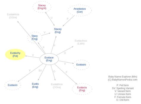 Eustachy Meaning Of Eustachy What Does Eustachy Mean