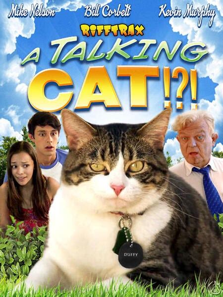 A Talking Cat