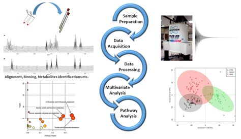 Applied Sciences Free Full Text Nmr In Metabolomics From