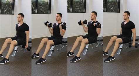 Zottman Curl The Optimal You Online Personal Trainers Holistic Nutrition