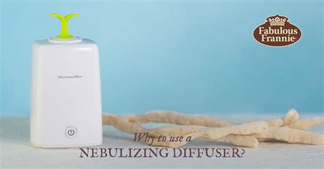 Why To Use A Nebulizing Diffuser Ask Frannie Essential Oils Expert