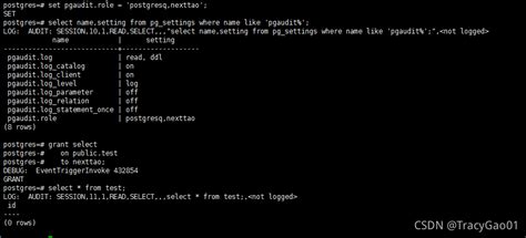 Postgresql审计：pgaudit安装使用pgaudit 安装教程 Csdn博客