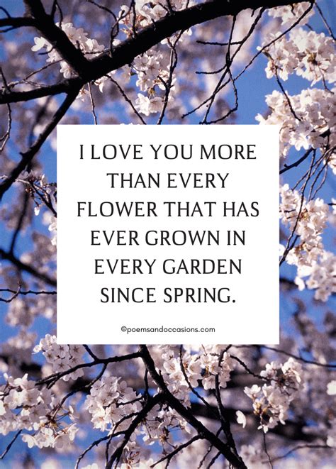 I Love You More Than Anything In The World Quotes