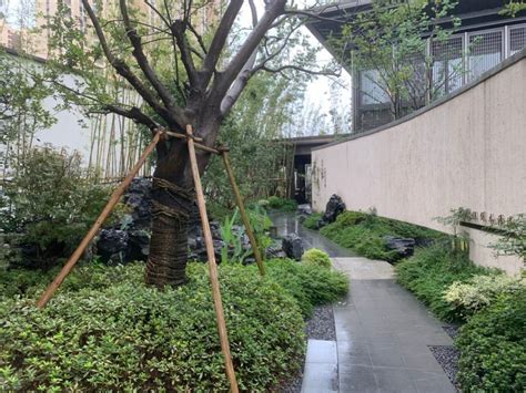 苏州建发新城园玺凤起和鸣雅苑实景图 苏州购房网