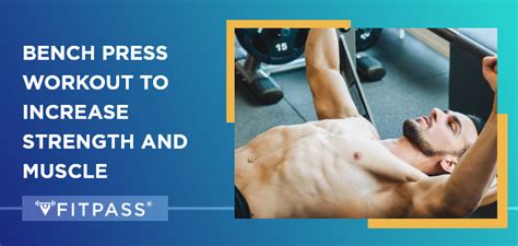 Learn About The Bench Press Exercise And Know Why It Is Irreplaceable