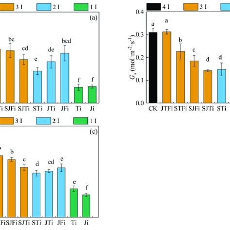 Photosynthetic Characteristics Of Summer Maize Under Different