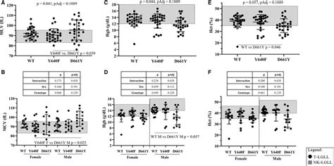 Mean Corpuscular Volume Mcv Hemoglobin Hgb And Hematocrit Hct