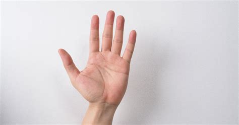 【css】cssだけでできるブラウザ対応 Spiqa Note