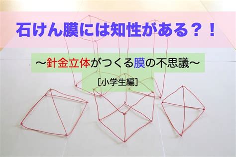 感動して楽しく理解する新しい形の授業の第4弾石けん膜には知性がある 針金立体がつくる膜の不思議小学生編開催 今回はシャボン玉