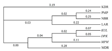 dendrogram showing genetic clustering based on unweighted pair group