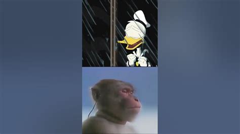 Donald Singing Is 🔥🔥🔥donaldduck Ducktales Daisyduck Youtube