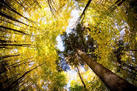 Figure 4 Photography Added A New Figure 4 Photography