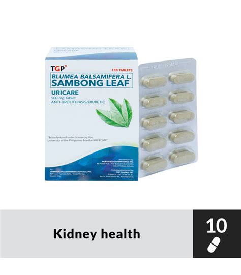 Uricare Sambong Leaf 500mg Tablet 10s