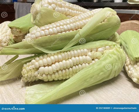 Pile Of White Corn Cubs Stock Image Image Of Producen 252180889