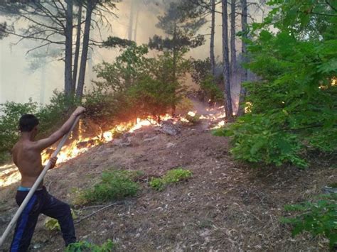 Пожарът който възникна вчера следобяд над кв „Анезица“ бе потушен Община Велинград Велинград