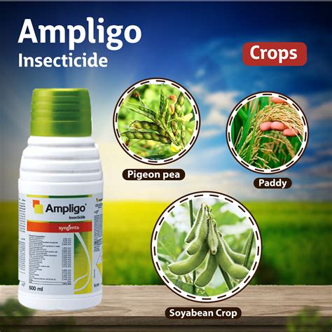 Syngenta Ampligo Insecticide Agriplex