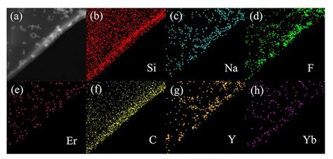 Figure S4 The Element Maps For Si Na F Er C Y And Yb Of Ucnps Pdms Download Scientific