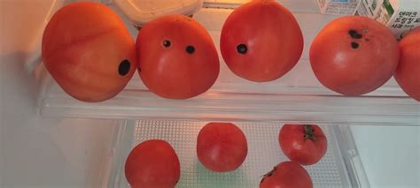냉장고에 넣어둔 토마토 검은점이 있어요 먹을 수 있나요 지식in