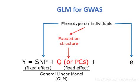 使用tassel学习gwas笔记（46）：一般线性模型进行gwas分析（glm模型） 腾讯云开发者社区 腾讯云