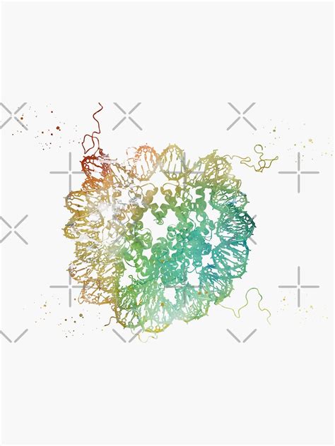 Dna Crystal Structure Sticker For Sale By Erzebetth Redbubble