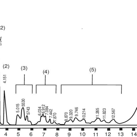 The Conversion Of Stearic Acid And Accumulation Of Sucrose With Stearic