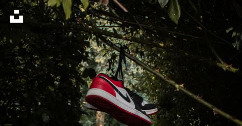 Red And White Nike Athletic Shoes On Tree Branch Photo Free Nike