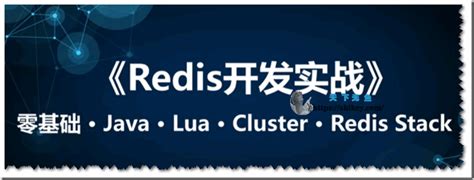 沐言科技 李兴华 Redis开发实战 2023最新教程 天下无鱼 资源博客