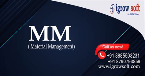 Sap Mm Online Course Training Institute Mm Course Duration