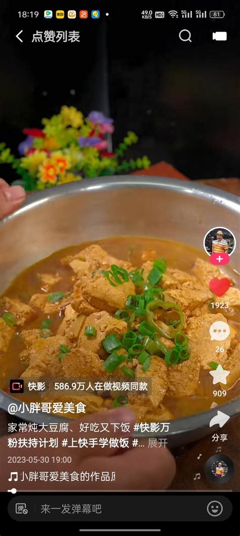 【东北炖大豆腐的做法步骤图，怎么做好吃】金夏夏下厨房