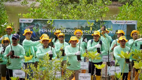 Peringati Hari Lingkungan Hidup Sedunia Grup PT Pertamina Hulu