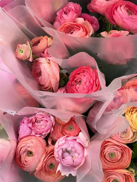 계절 구색을 갖춘 꽃 꽃 가게 꽃 무늬 꽃 시장 꽃 장식 꽃꽂이 꽃무늬 꽃잎 낭만적인 노란 장미 다양한 색상 다채로운 무성한 봄 부케 분홍색