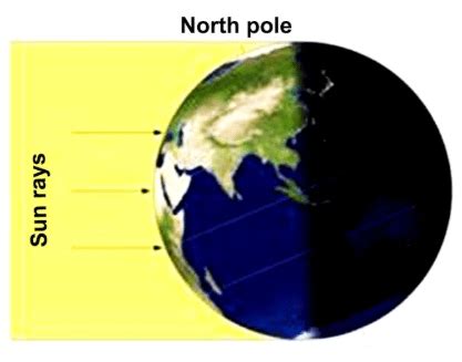 Class Geography Chapter Extra Questions Globe Latitudes And Longitudes