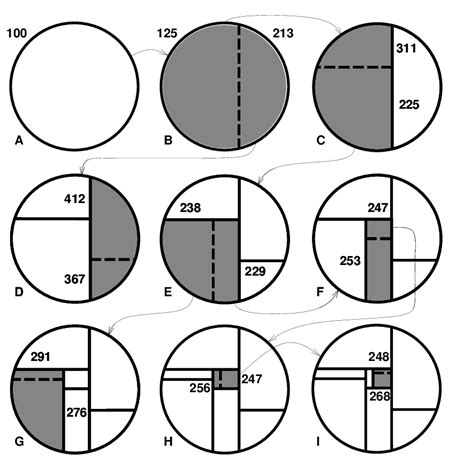 Splitting The Search Space Download Scientific Diagram