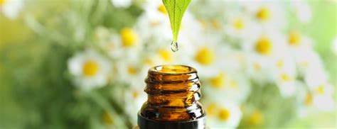 Essential Oil Blends Blended Essential Oils Holland And Barrett