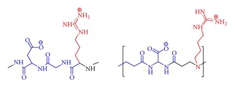 Structure Of Agmatine Containing Amphoteric Polyamidoamine Right