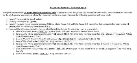 Solved On The Phylogenetic Tree Posted Please Label The Chegg