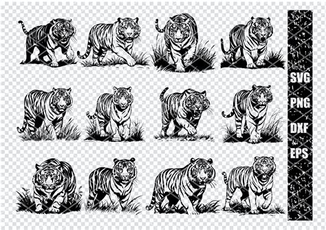 INDIAN BENGAL TIGER Svg Wild Bengal Tiger Svg Files For Cricut Wild Tiger Clipart Laser Cut