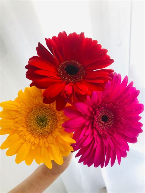 Фотосессия у Ксюши