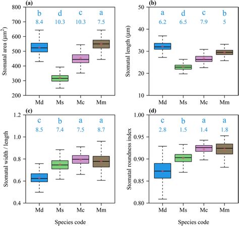 Boxplots Of Stomatal Area A Stomatal Length B Stomatal