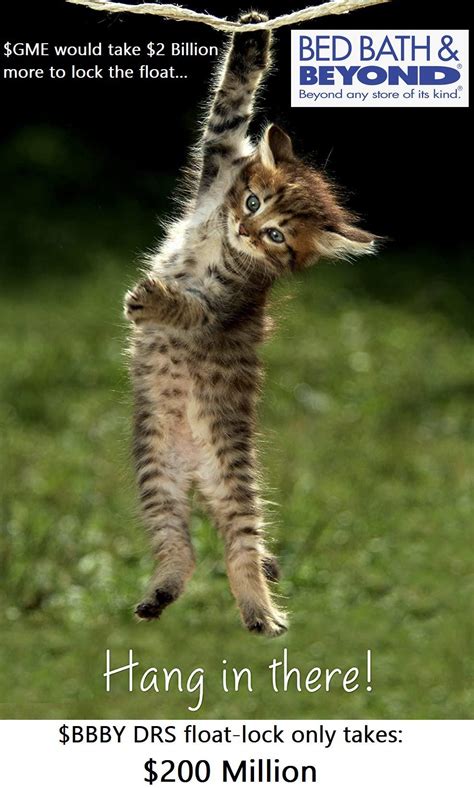 💙 Drs Newsflash Bbbys Float And Taking Current Shares Shorted Will Be Drs Locked Using Only