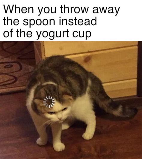 Fileloading Cat Meme 3 Meming Wiki