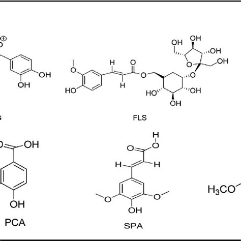 Structures Of The Six Phytochemicals Present In Brbe Chosen For The Download Scientific Diagram