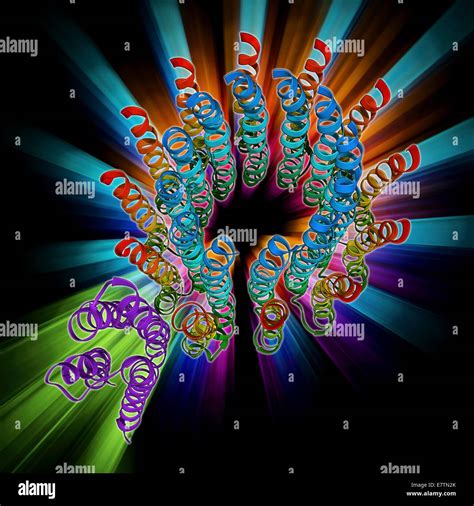 ATP Synthase Molecule Molecular Model Showing The Structure Of ATP Synthase ATPase Subunit A