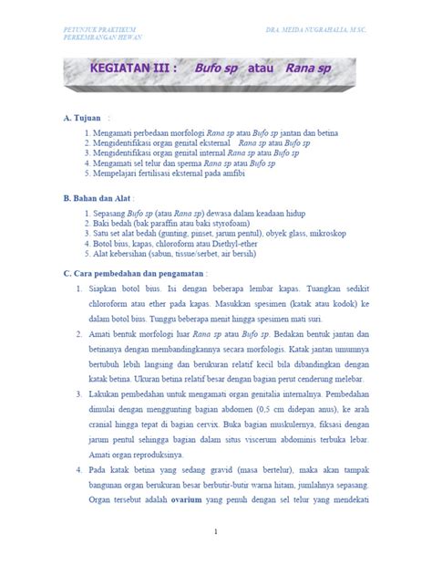Kegiatan 3 Bufo Rana Sp Pdf