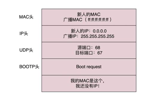 Dhcp 协议工作流程简介 Origin Of Ray